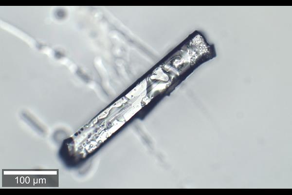 First crystal structure of bleach in its 200-year history | Research ...